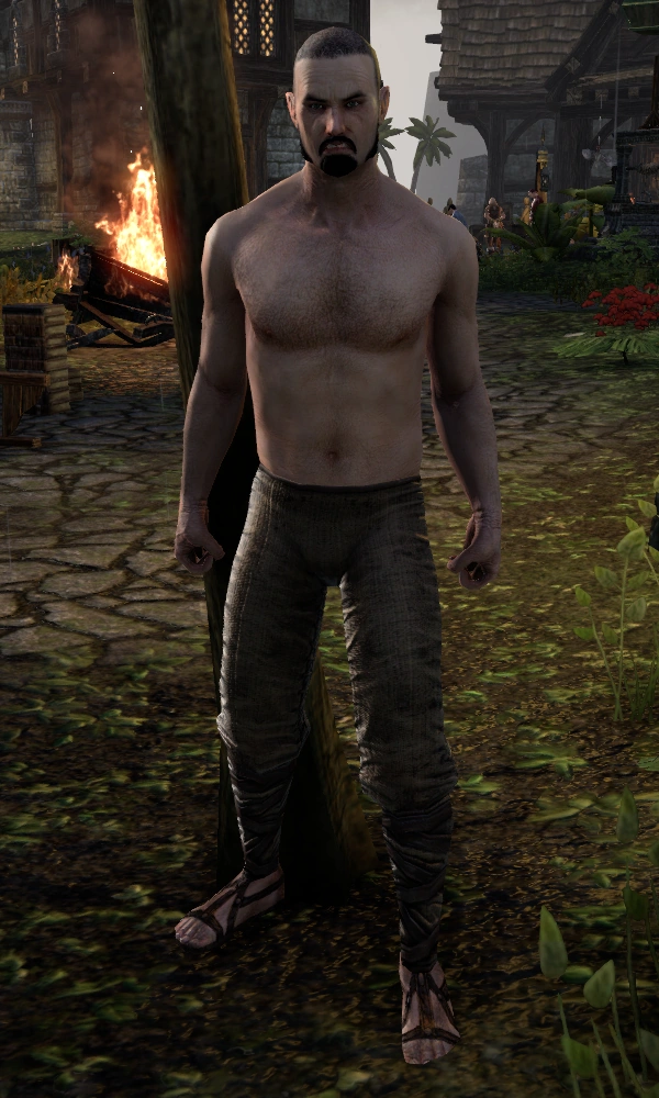 Pixot | Elder Scrolls | Fandom