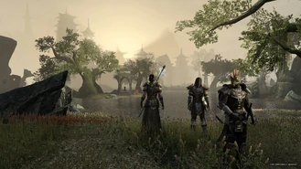 The Elder Scrolls Online | Elder Scrolls | Fandom