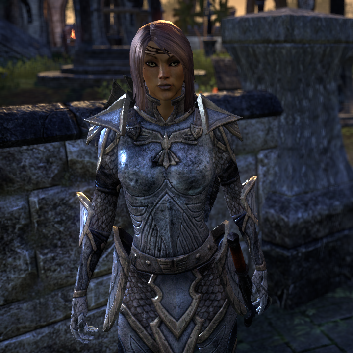 Лейтенант Куринайри The Elder Scrolls Wiki Fandom