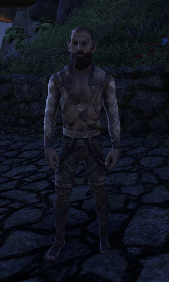 Ervalir | Wiki The Elder Scrolls | Fandom