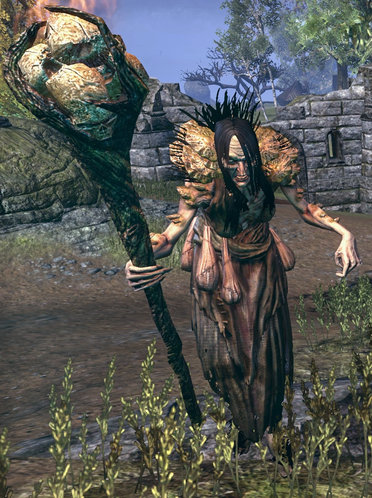 Fegra | Elder Scrolls | Fandom