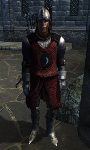 Skingrad Soldier | Elder Scrolls | Fandom
