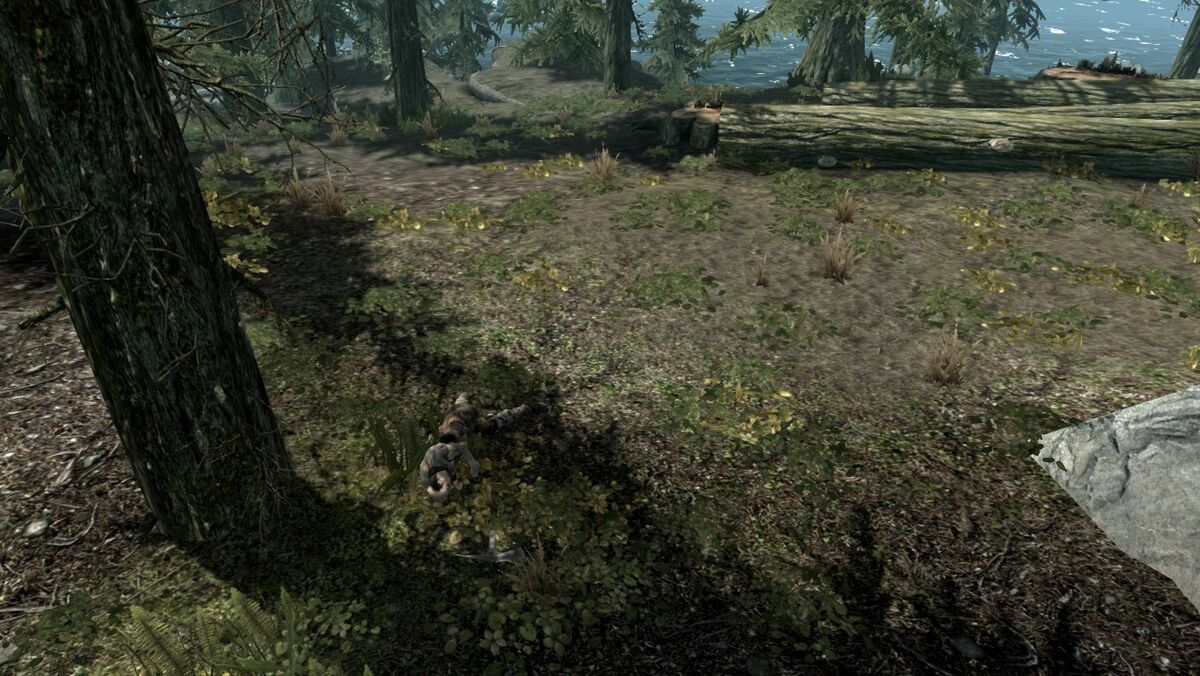 Мёртвый дровосек The Elder Scrolls Wiki Fandom