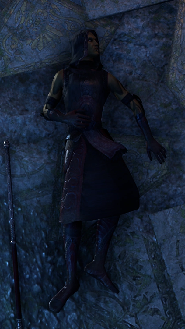 Adepte (Online) | Wiki The Elder Scrolls | Fandom