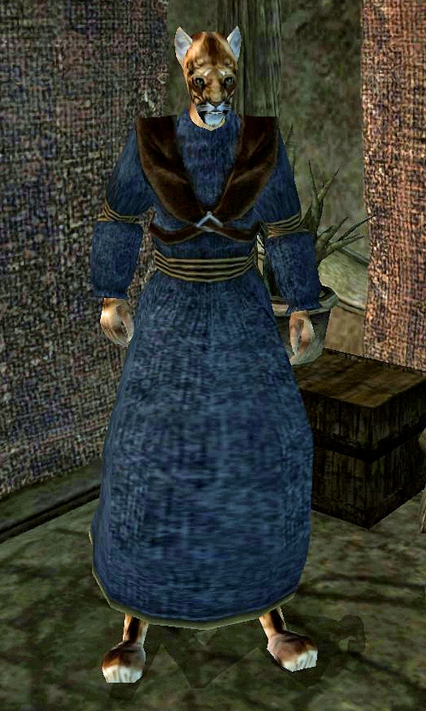 Ajira | The Elder Scrolls Wiki | Fandom