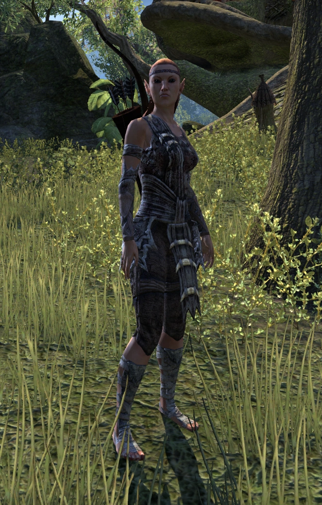 Nilbethil | Elder Scrolls | Fandom