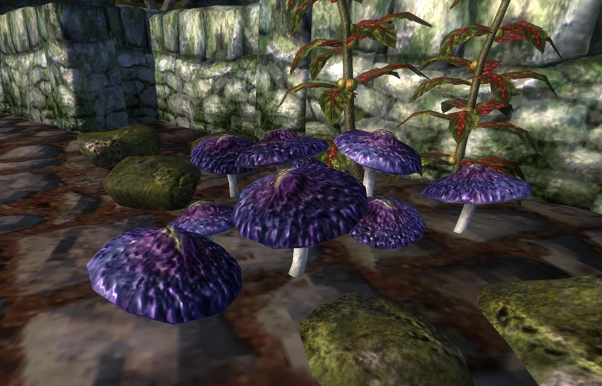 Worm's Head Cap | Elder Scrolls | Fandom