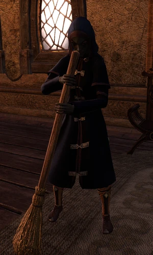 Acolyte Terenu | Elder Scrolls | Fandom