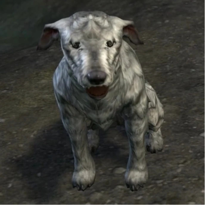 Barbas | The Elder Scrolls Wiki | Fandom