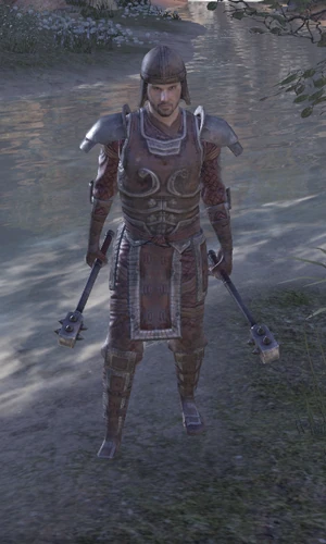 Fighters Guild Bodyguard | Elder Scrolls | Fandom