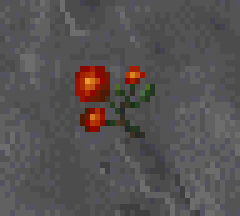 Red Berries | Elder Scrolls | Fandom