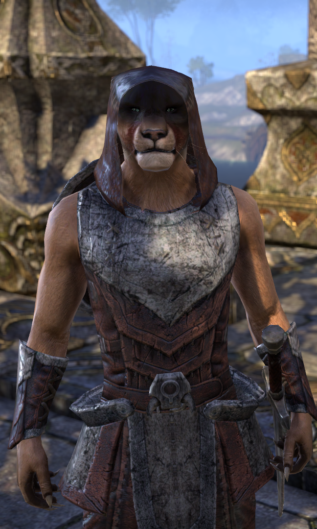 Garde de Mistral | Wiki The Elder Scrolls | Fandom Garde de Mistral | Wiki The Elder Scrolls | Fandom