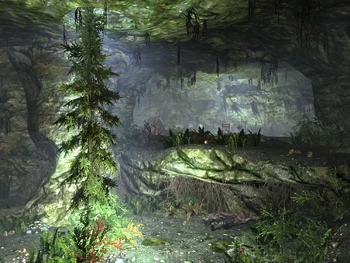 Graywinter Watch | Elder Scrolls | Fandom