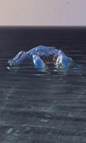 Shellcracker | Elder Scrolls | Fandom