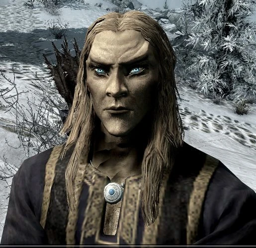 Altmer (Skyrim) | Elders Scrolls Indonesia Wikia | Fandom