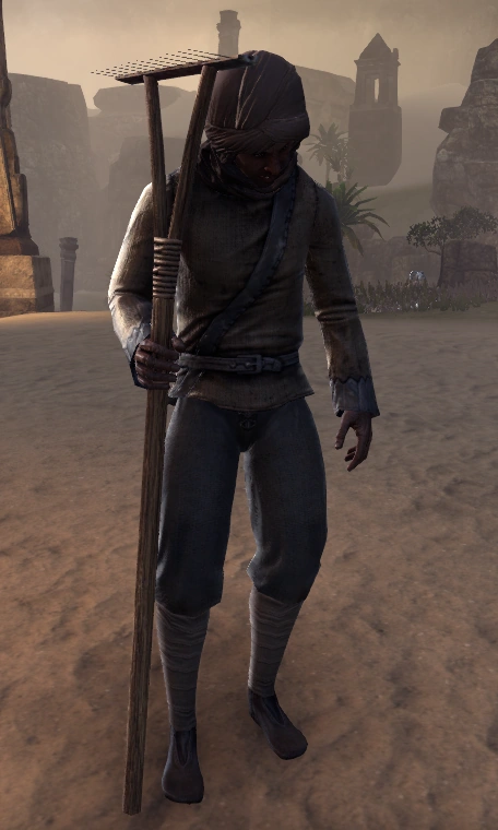 Burhan | Wiki The Elder Scrolls | Fandom