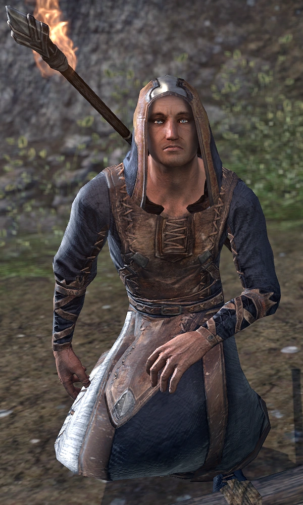 Healer Alezan | Elder Scrolls | Fandom