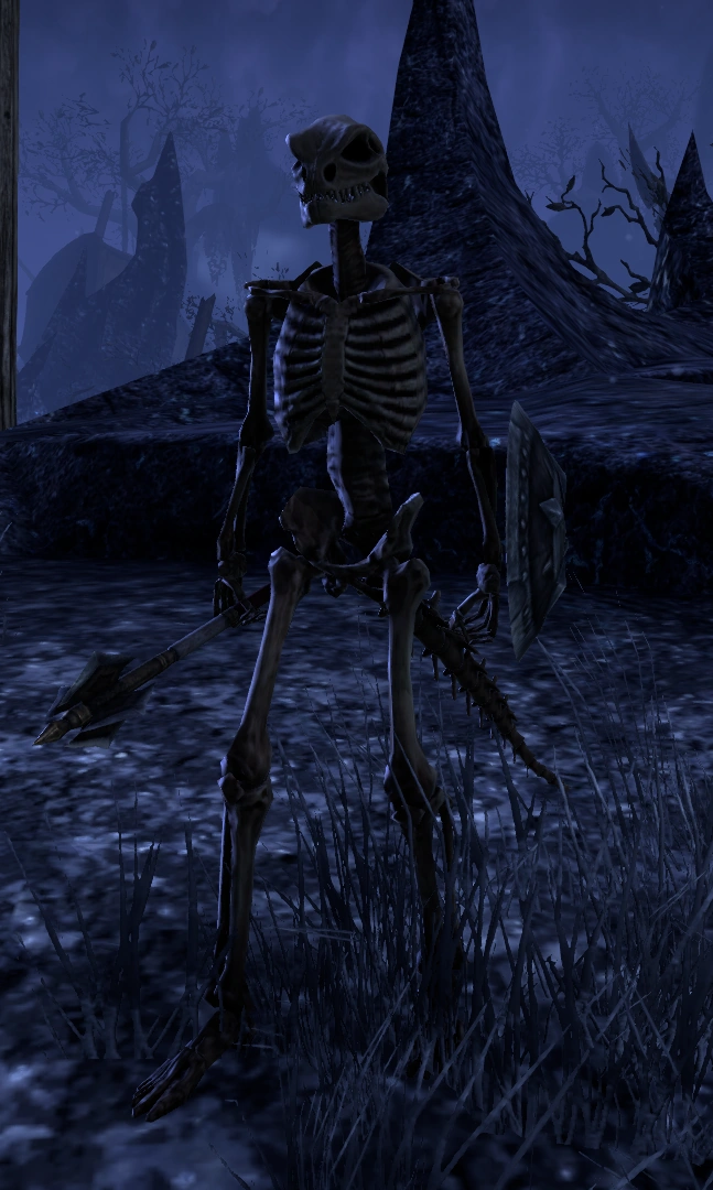 Lieutenant argonien perdu | Wiki The Elder Scrolls | Fandom