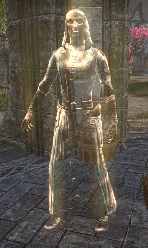 Nerassil the Bound | Elder Scrolls | Fandom