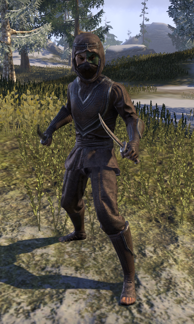 Tueur Dague Noire Wiki The Elder Scrolls Fandom