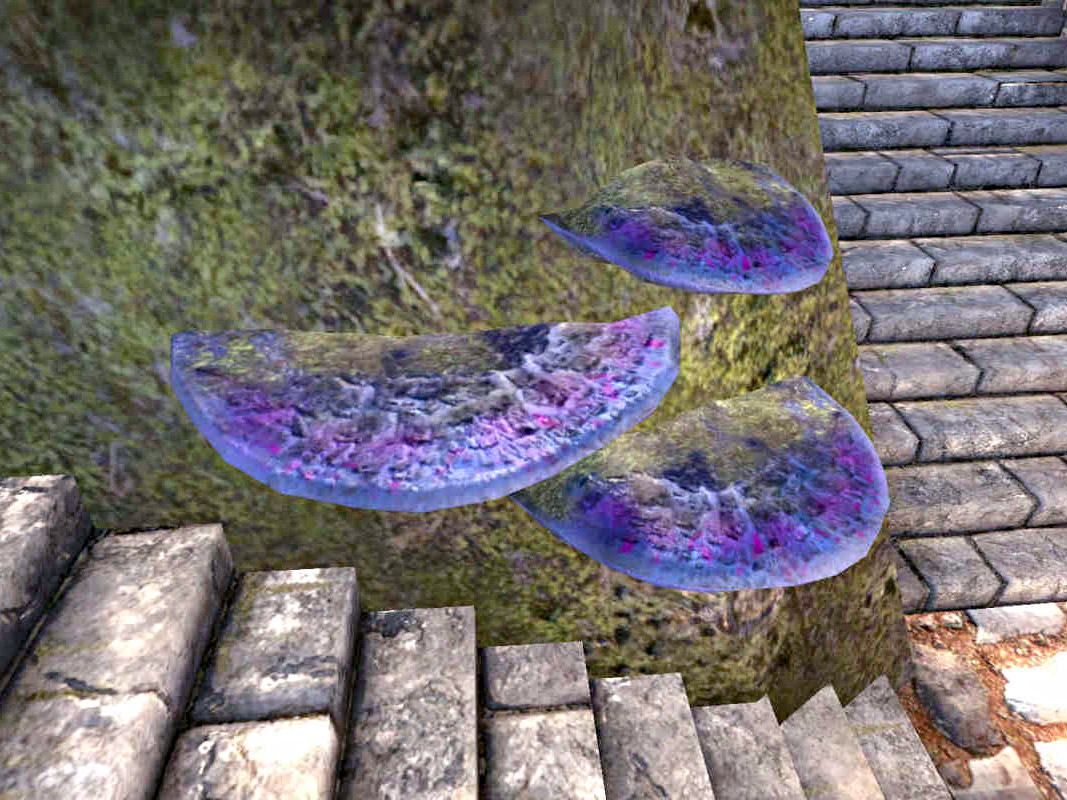 Гигантская спора ежовика лазурного Shivering Isles The Elder