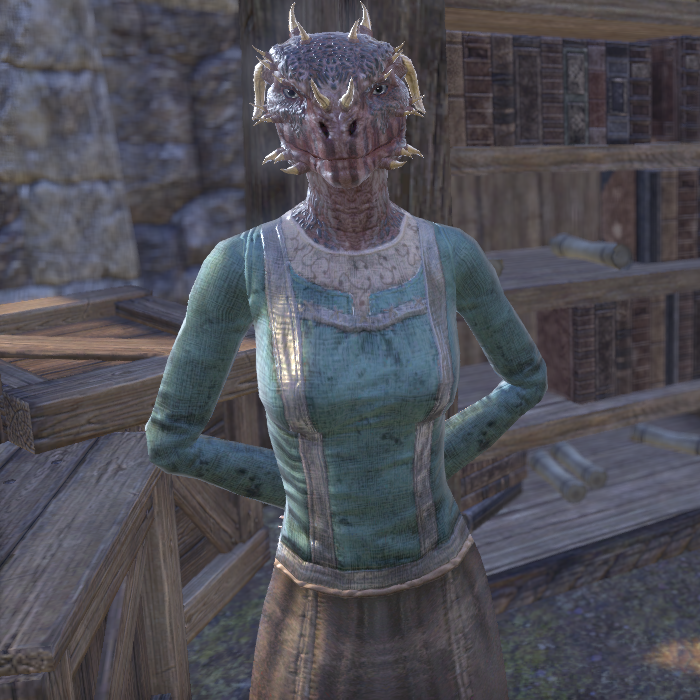 Слушает Море The Elder Scrolls Wiki Fandom