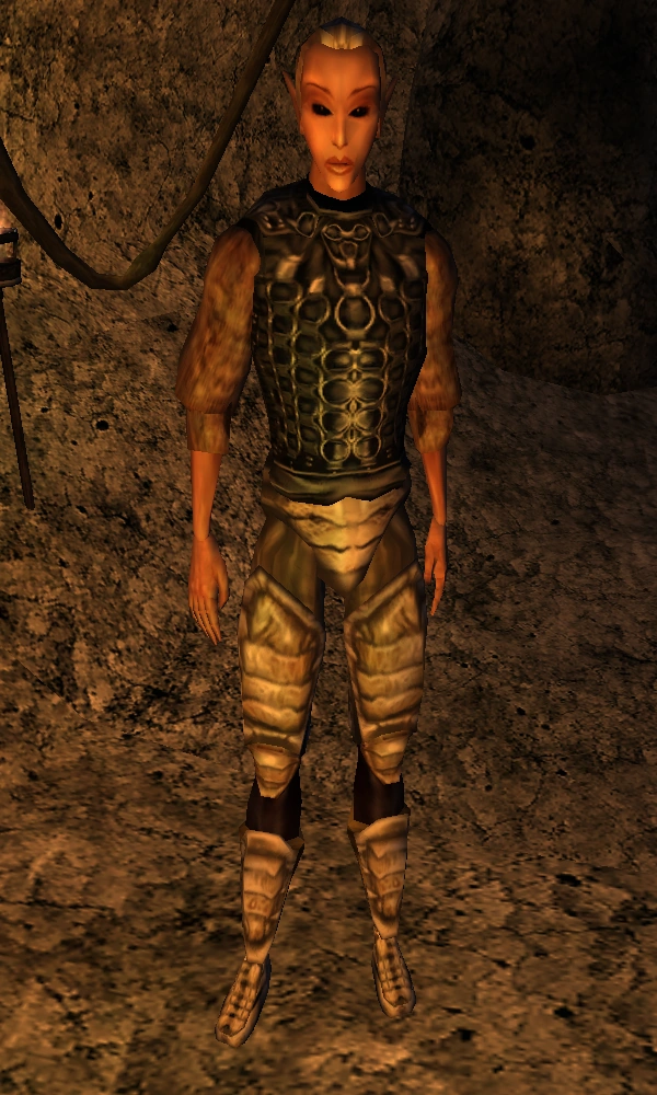 Falion (Morrowind) | The Elder Scrolls Wiki | Fandom