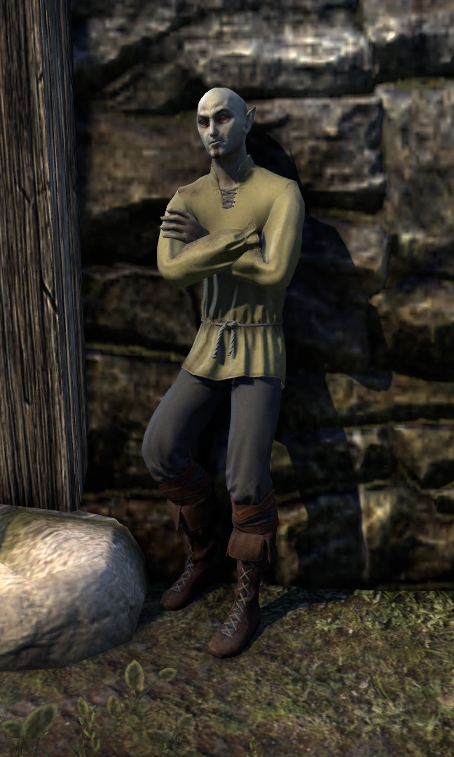 Boryn Andrilo | Elder Scrolls | Fandom