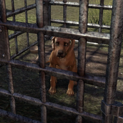 Burtle | Wiki The Elder Scrolls | Fandom