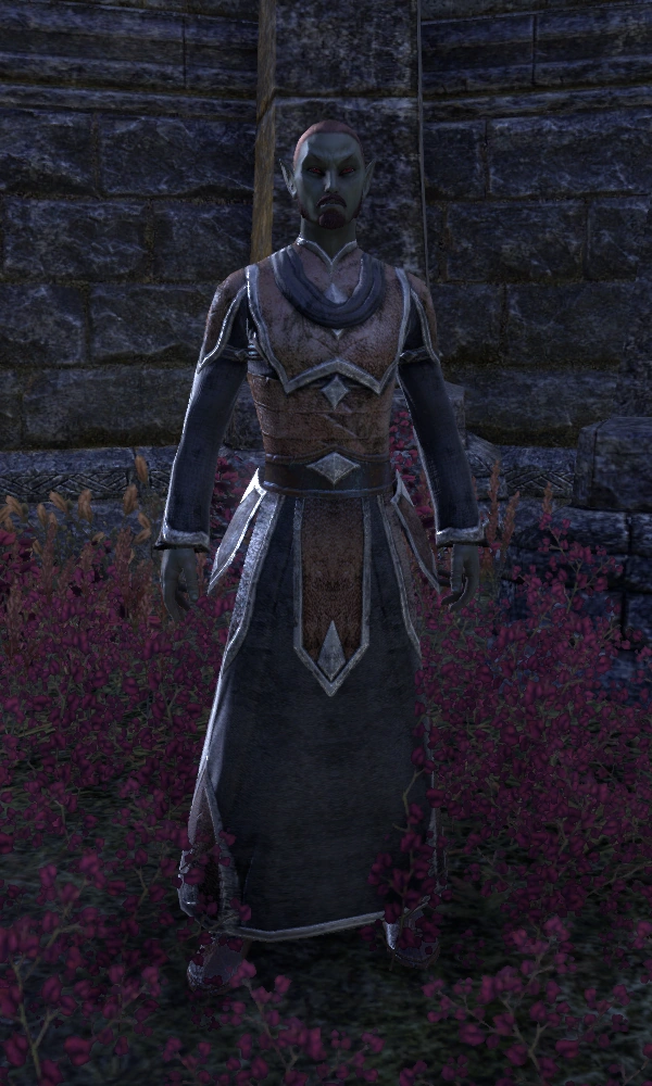 Aeren | Elder Scrolls | Fandom