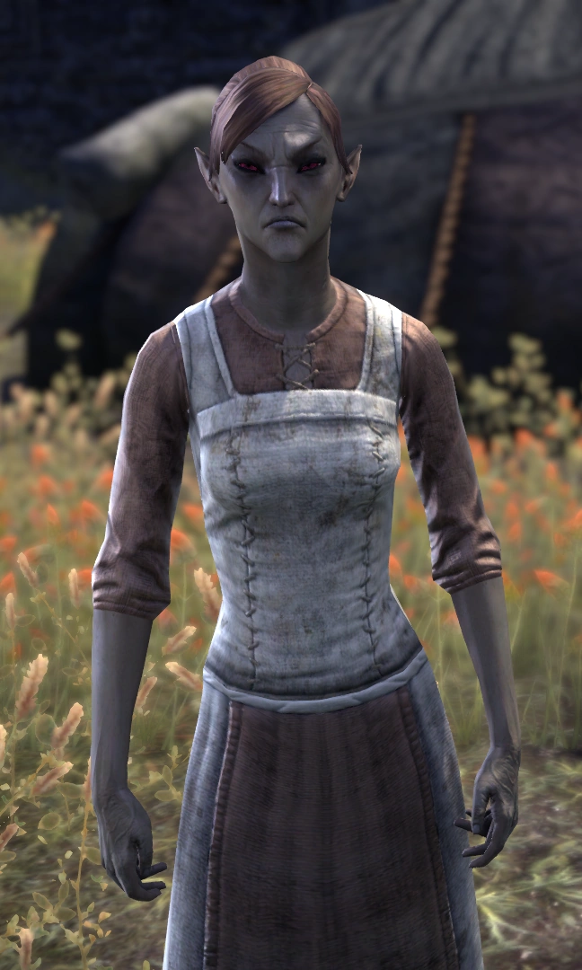 Aneyda Uvaril | Wiki The Elder Scrolls | Fandom