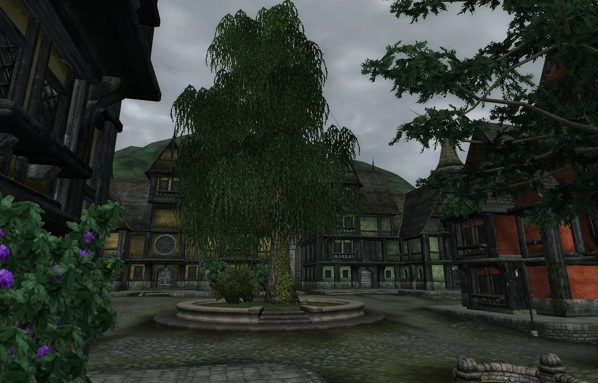 Leyawiin | Elder Scrolls | Fandom