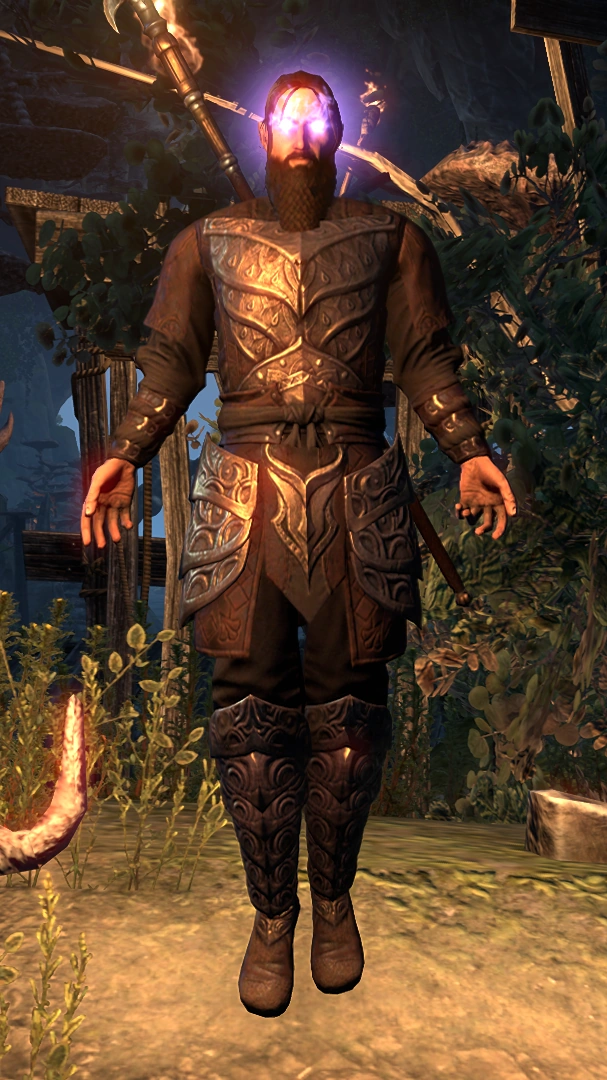 Nolore Stieve | Wiki The Elder Scrolls | Fandom