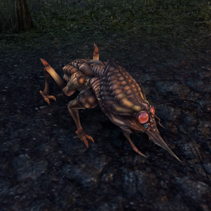 Chien De Nix Online Wiki The Elder Scrolls Fandom