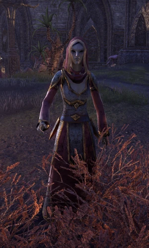 Acolyte Indririi | Elder Scrolls | Fandom