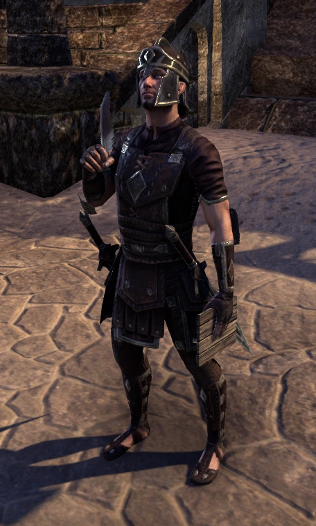 Assassin impérial | Wiki The Elder Scrolls | Fandom