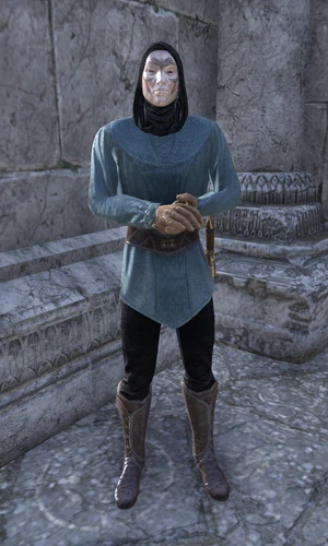 Rig | Elder Scrolls | Fandom