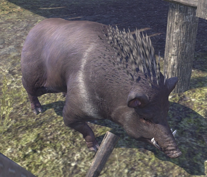 Shufflebottom | Elder Scrolls | Fandom