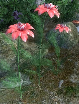 Redwort Flower | Elder Scrolls | Fandom