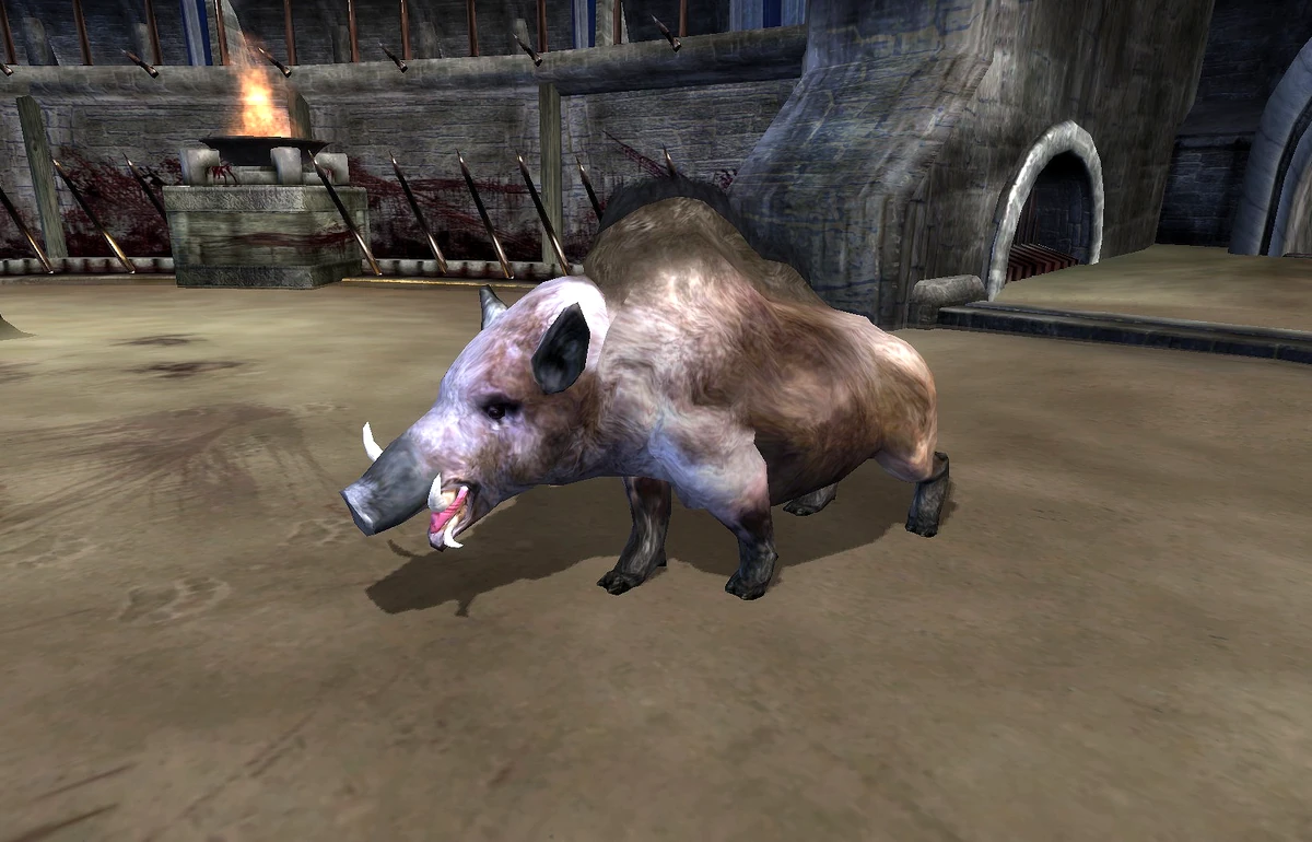 Boar | Elder Scrolls | Fandom