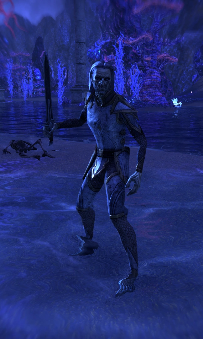 Dessicated Warrior | Elder Scrolls | Fandom