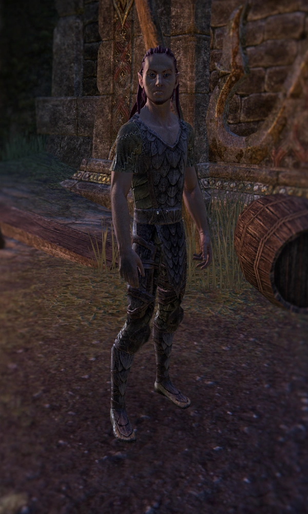 Nedthion | Elder Scrolls | Fandom
