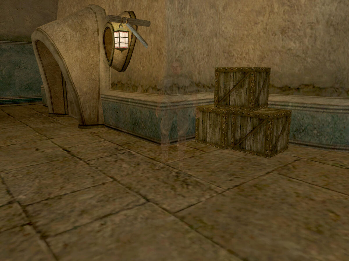 Невидимый сын The Elder Scrolls Wiki Fandom