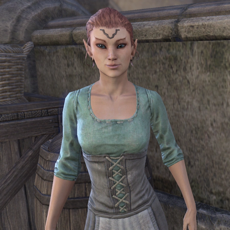 Фалдиниэль | The Elder Scrolls Wiki | Fandom