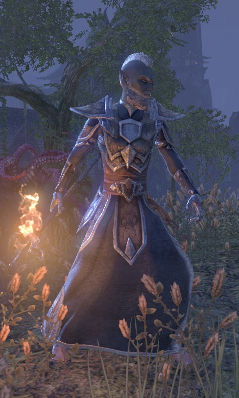 Pyromancer (Online) | Elder Scrolls | Fandom