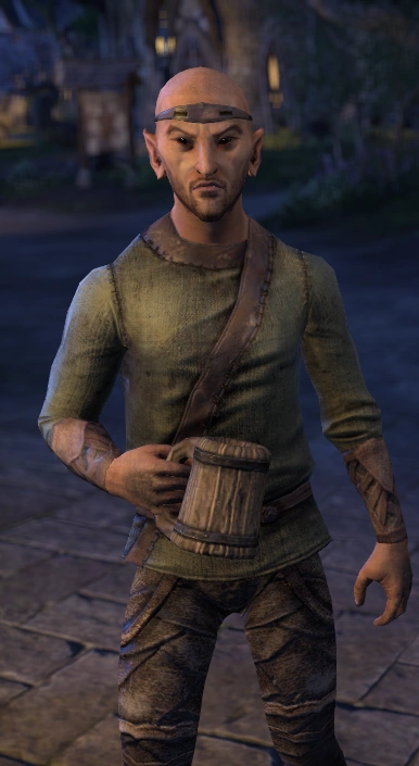 Saldaer | Wiki The Elder Scrolls | Fandom