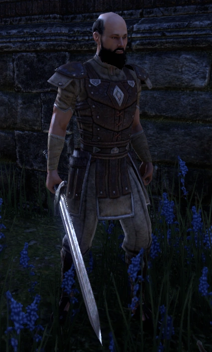 Brigand des ruelles | Wiki The Elder Scrolls | Fandom