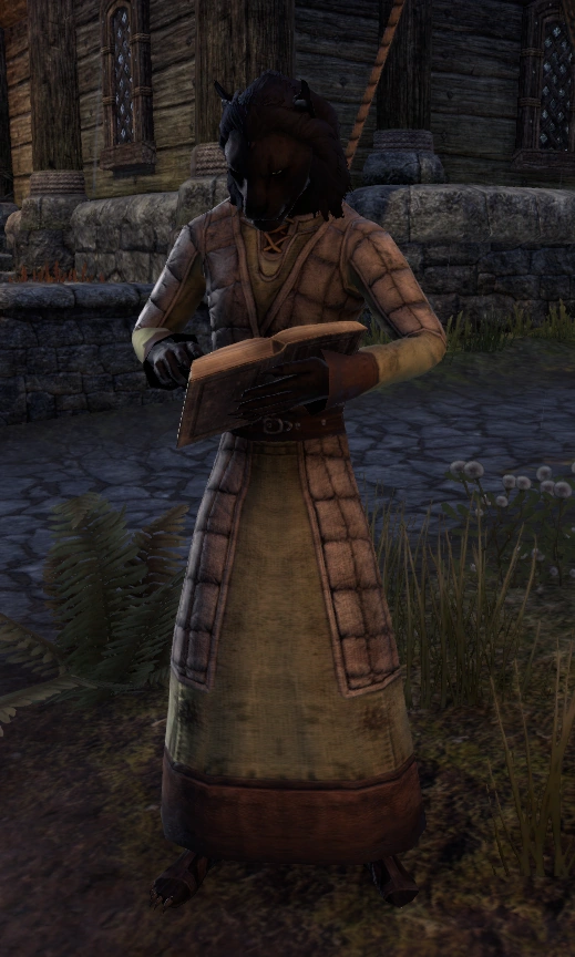 Savar | Wiki The Elder Scrolls | Fandom