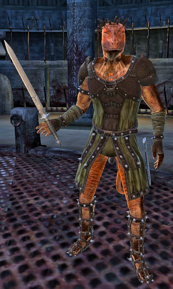 Yellow Team Gladiator | Elder Scrolls | Fandom