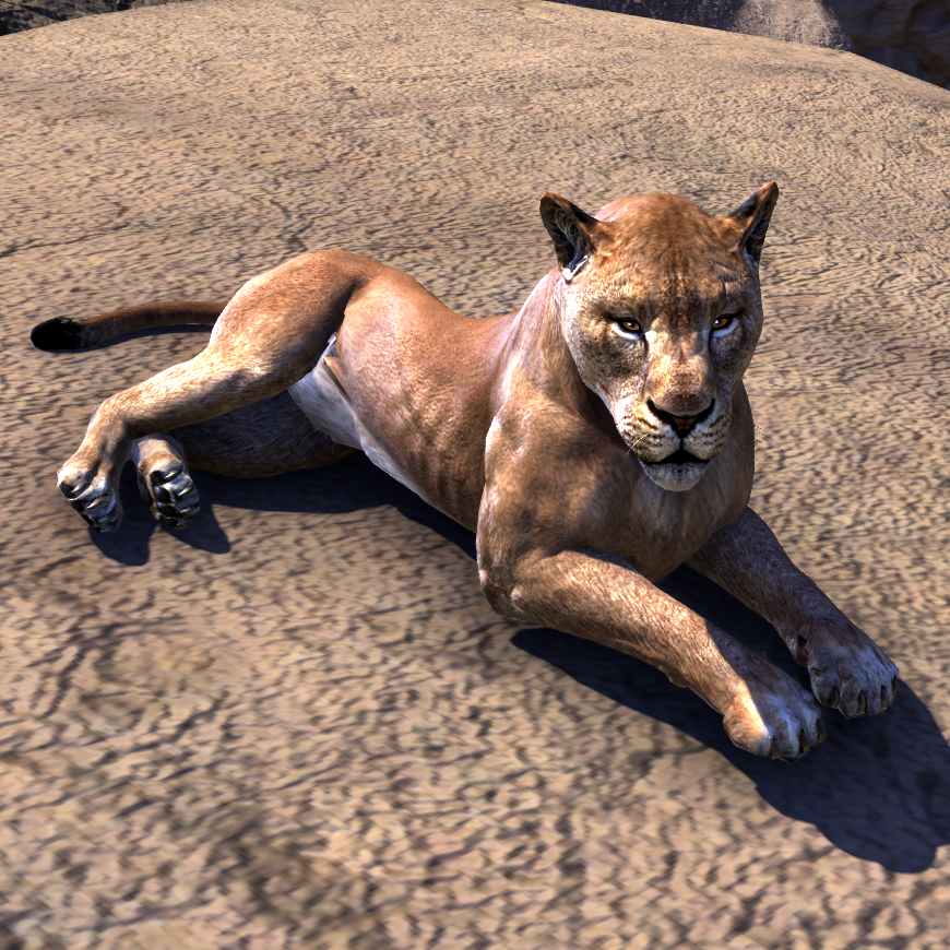 Lioness Elder Scrolls Fandom